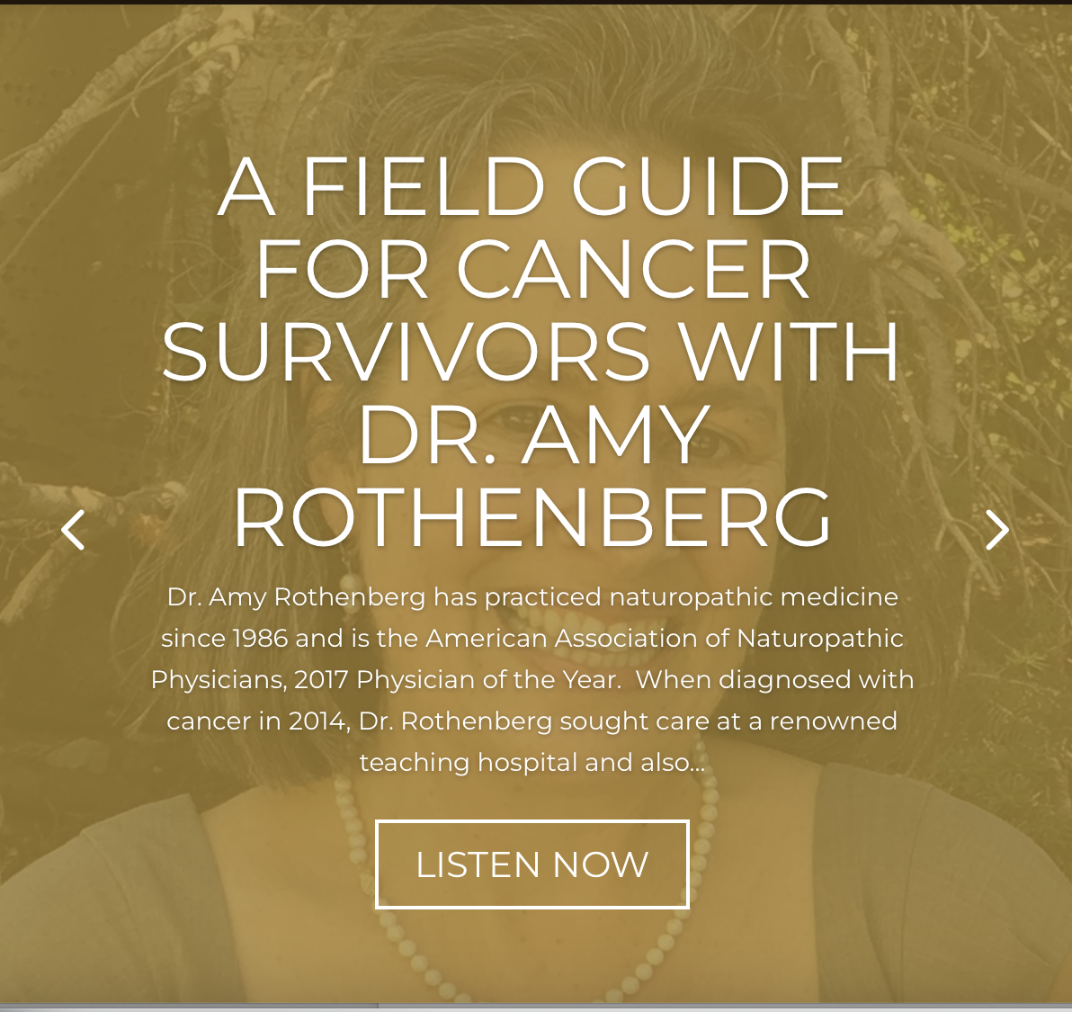 Cancer Related | Dr. Amy Rothenberg