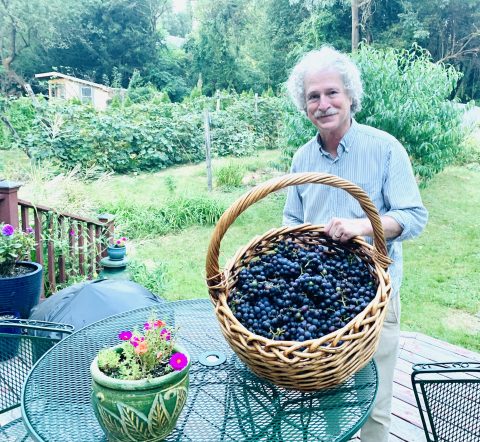 #11 Grape Juice | Dr. Amy Rothenberg