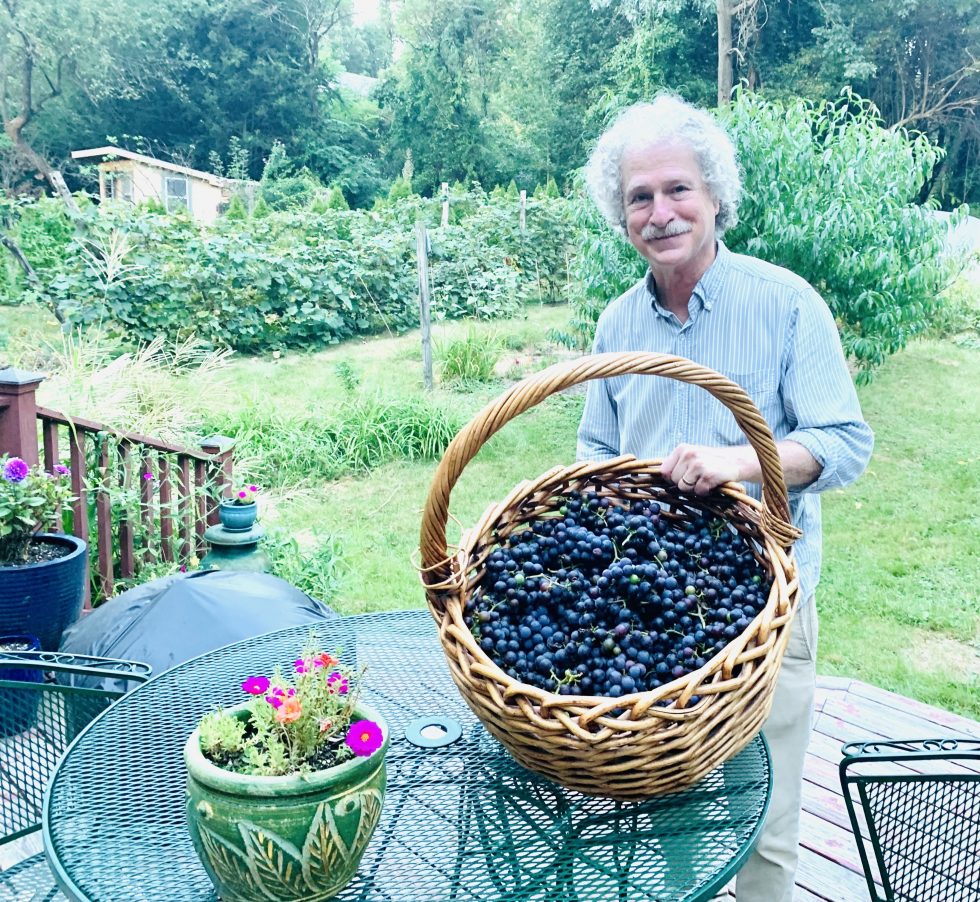 #11 Grape Juice | Dr. Amy Rothenberg