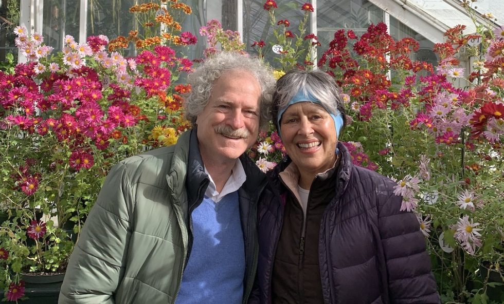 #19 Fair Weather Friend | Dr. Amy Rothenberg